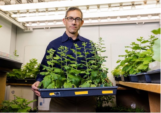 Krishna K. Niyogi - Scientist Spotlights Initiative