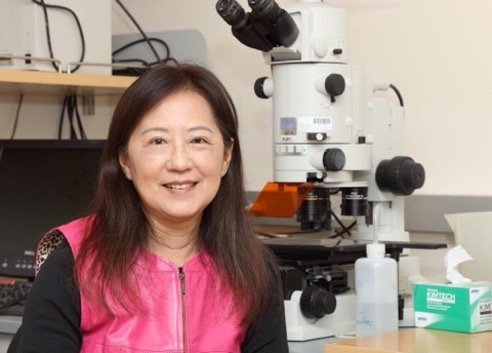 Ying-Hui Fu - Scientist Spotlights Initiative